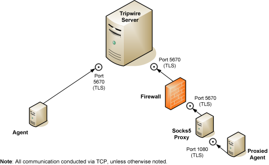 Getting Started with the Agent